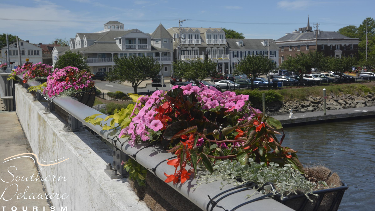 Zoom Backgrounds | Visit Southern Delaware